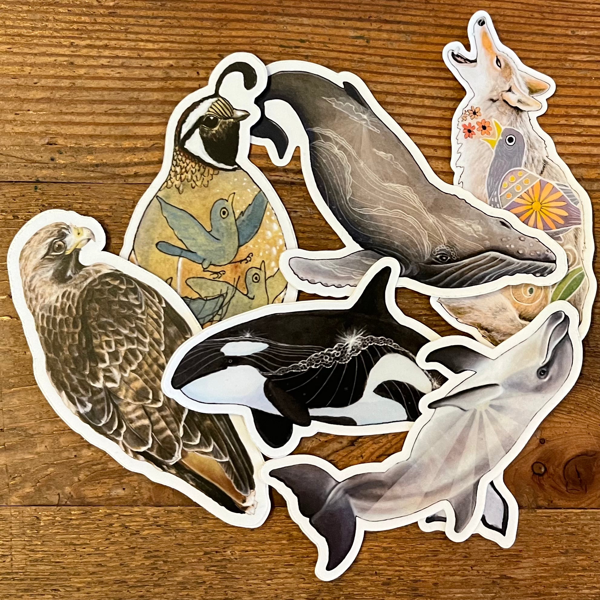 Amy Rose Moore Stickers | Traveler Surf Club