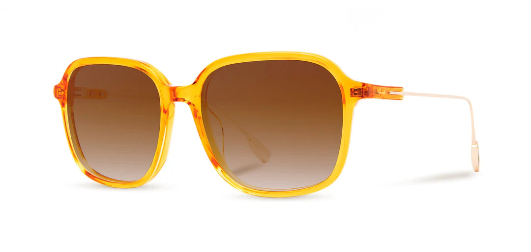 Donaca Sunglasses | Traveler Surf Club