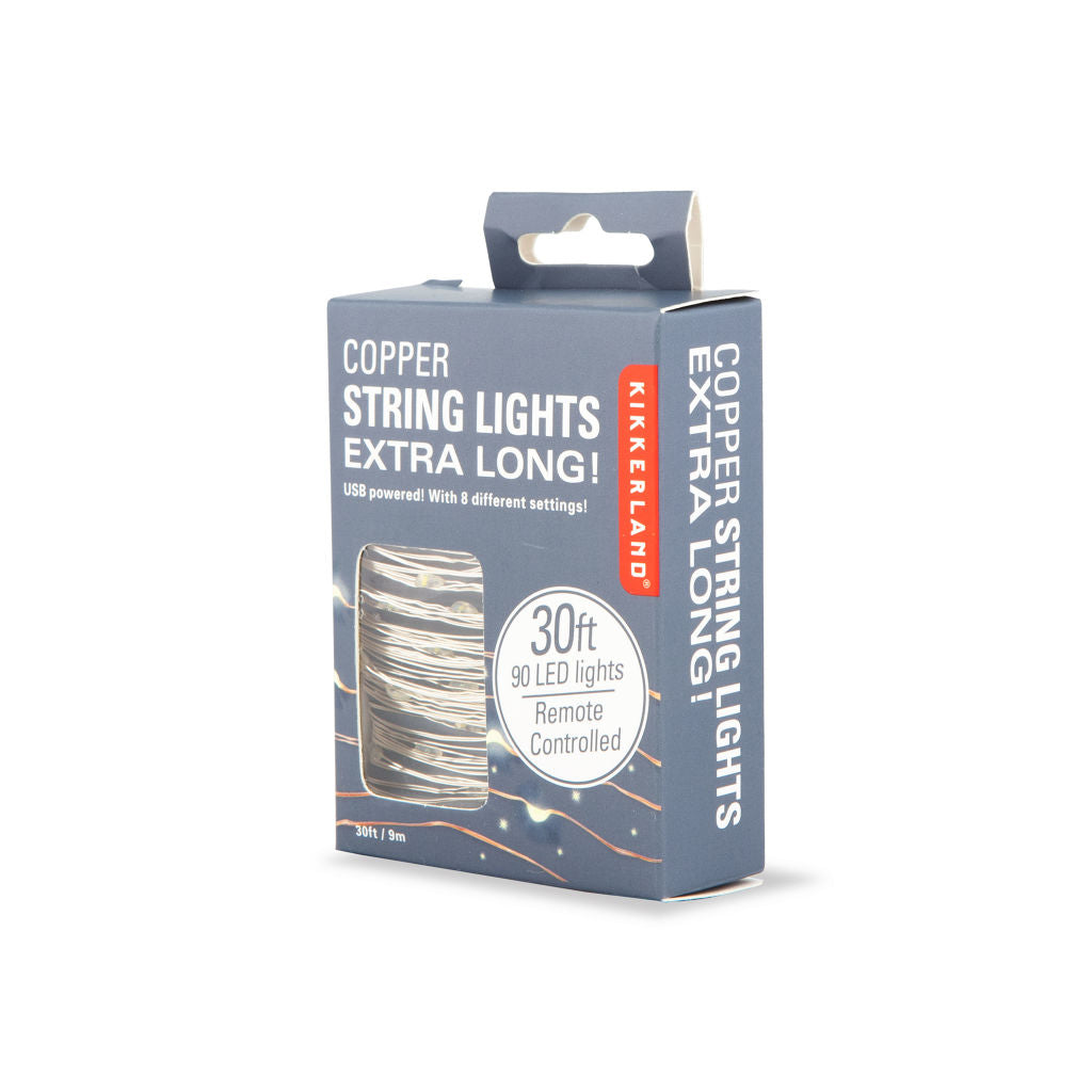 Extra Long Silver String Lights | Traveler Surf Club